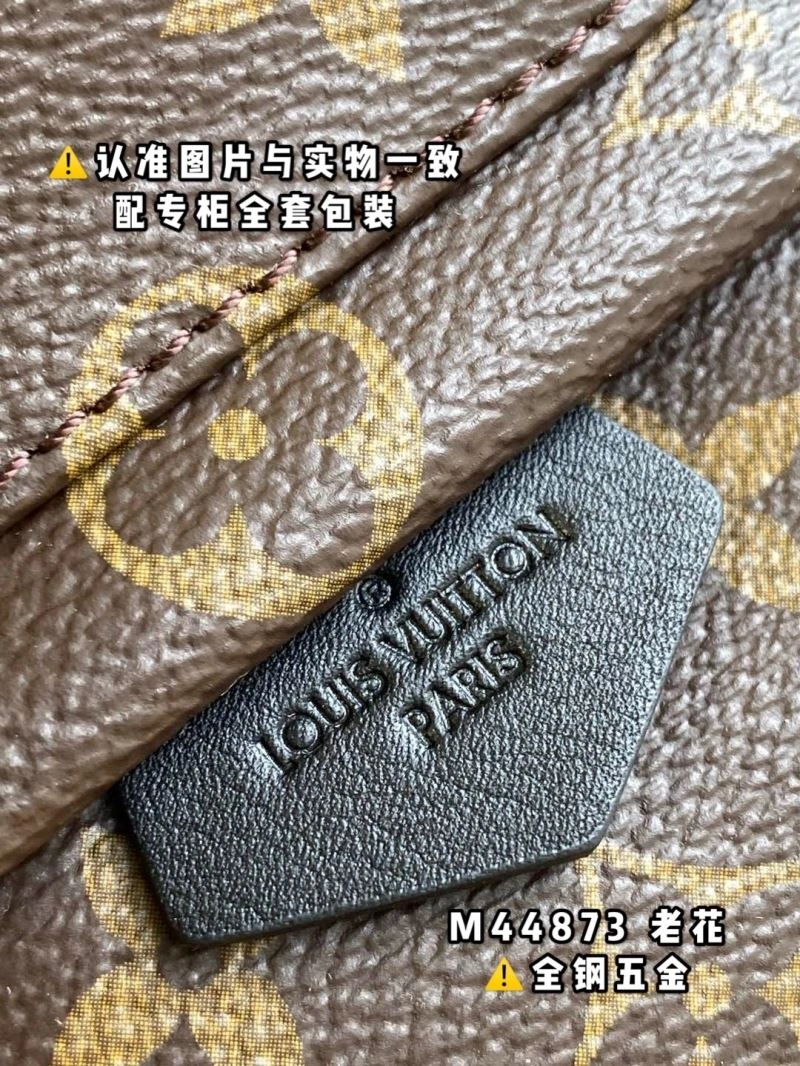 High accuracy Louis Vuitton Backpacks