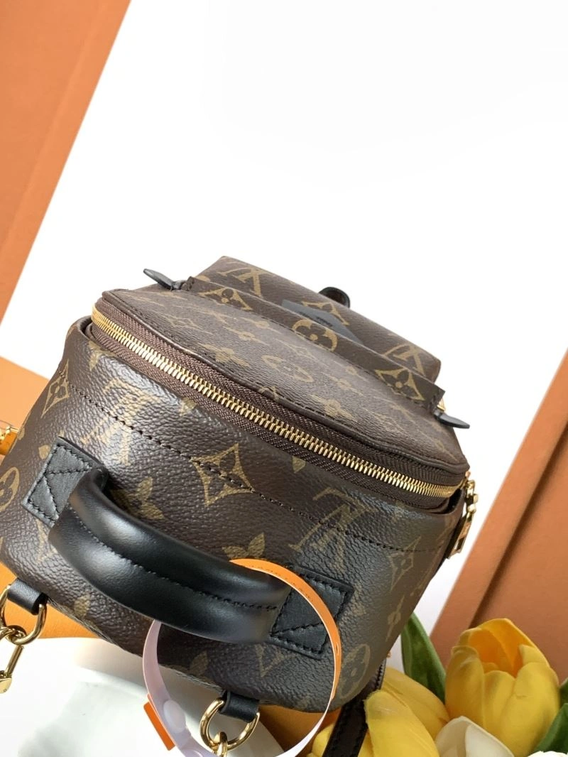 Inexpensive Louis Vuitton Backpacks