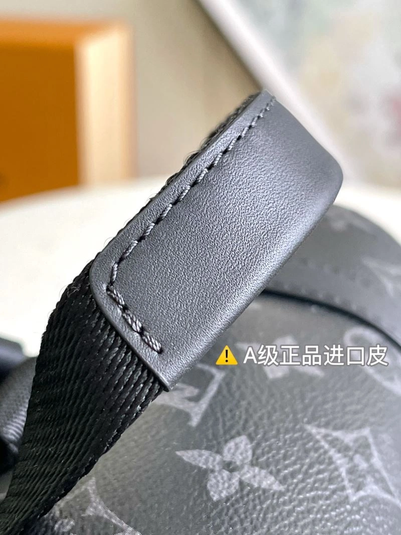 High accuracy Louis Vuitton Backpacks