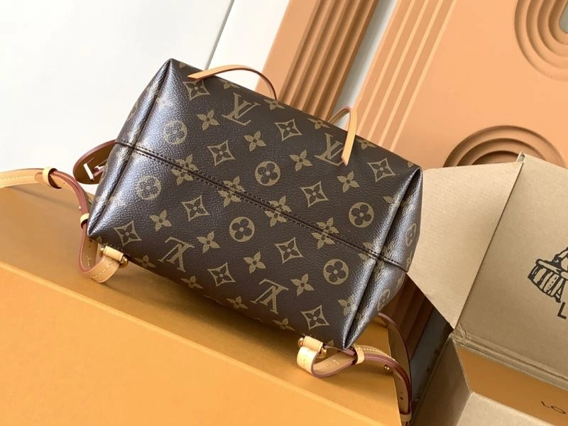 High accuracy Louis Vuitton Backpacks