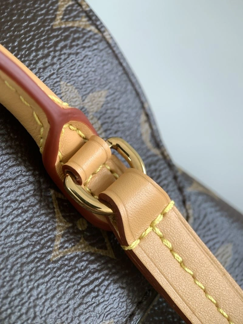 High accuracy Louis Vuitton Backpacks