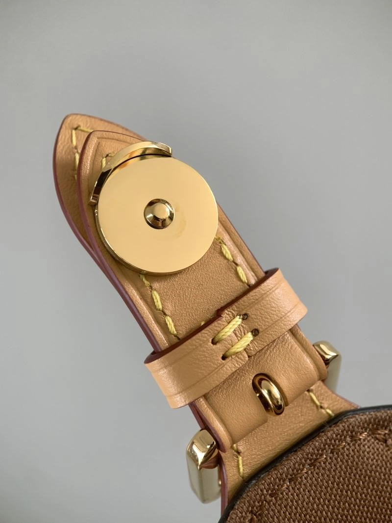 High accuracy Louis Vuitton Backpacks