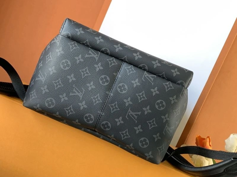 High accuracy Louis Vuitton Backpacks