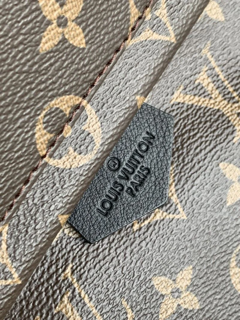 Budget-friendly Louis Vuitton Backpacks