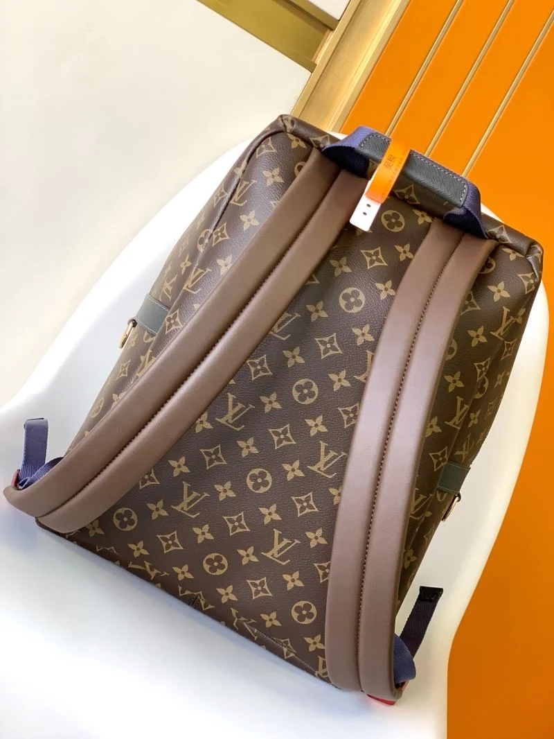 High accuracy Louis Vuitton Backpacks