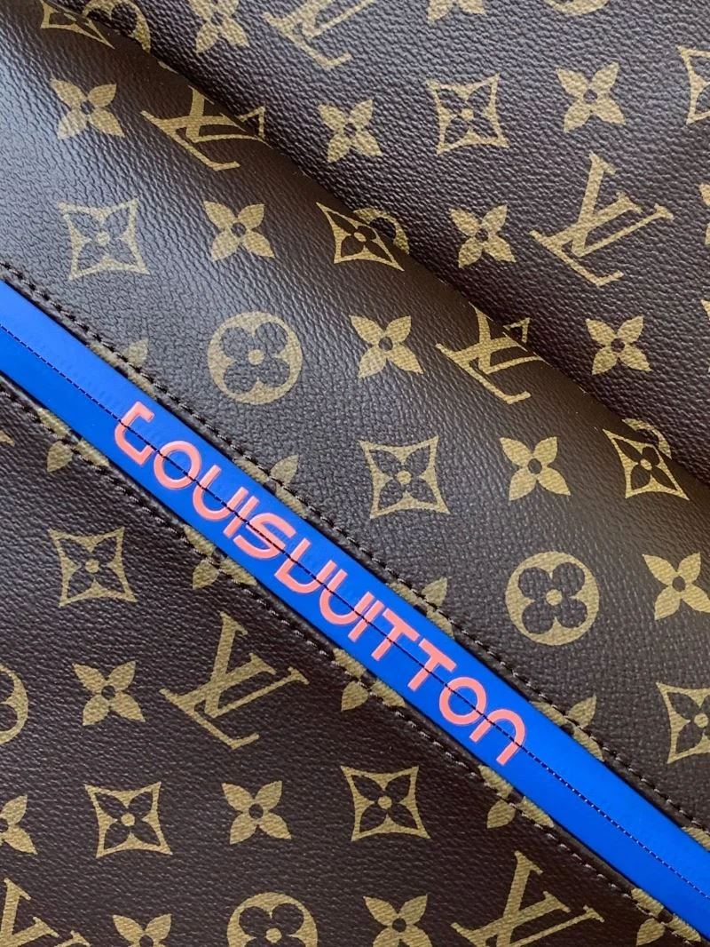 High accuracy Louis Vuitton Backpacks