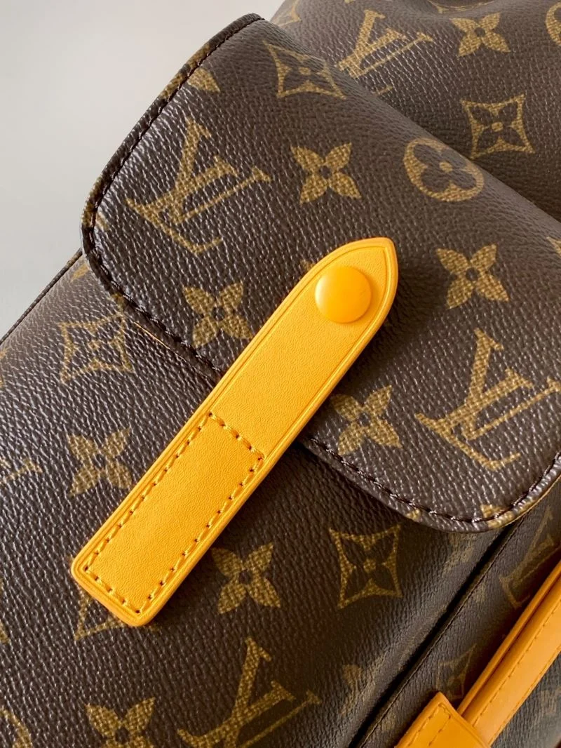 Mirror quality Louis Vuitton Backpacks