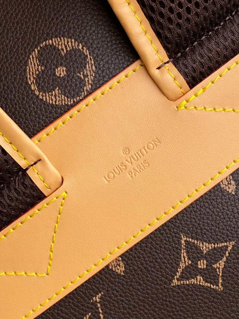Affordable Louis Vuitton Backpacks