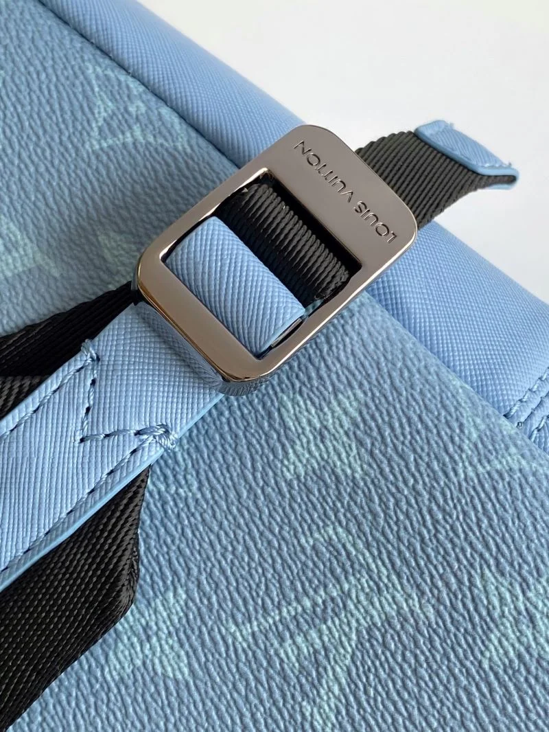 High accuracy Louis Vuitton Backpacks