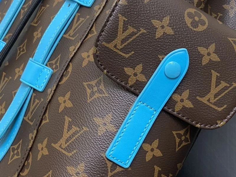 High accuracy Louis Vuitton Backpacks