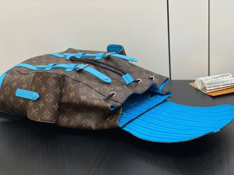 High accuracy Louis Vuitton Backpacks
