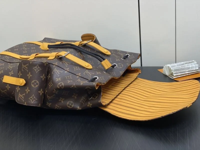 Top mirror Louis Vuitton Backpacks