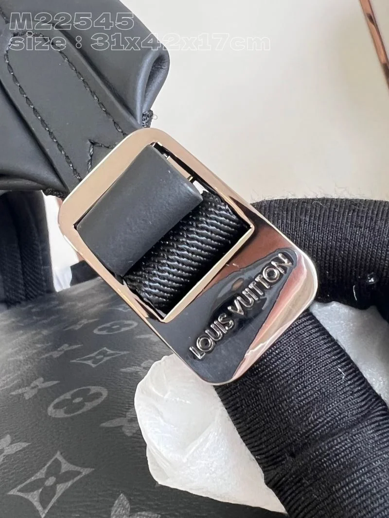 1:1 copy Louis Vuitton Backpacks