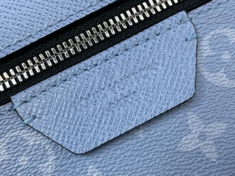 Reasonably priced Louis Vuitton Backpacks