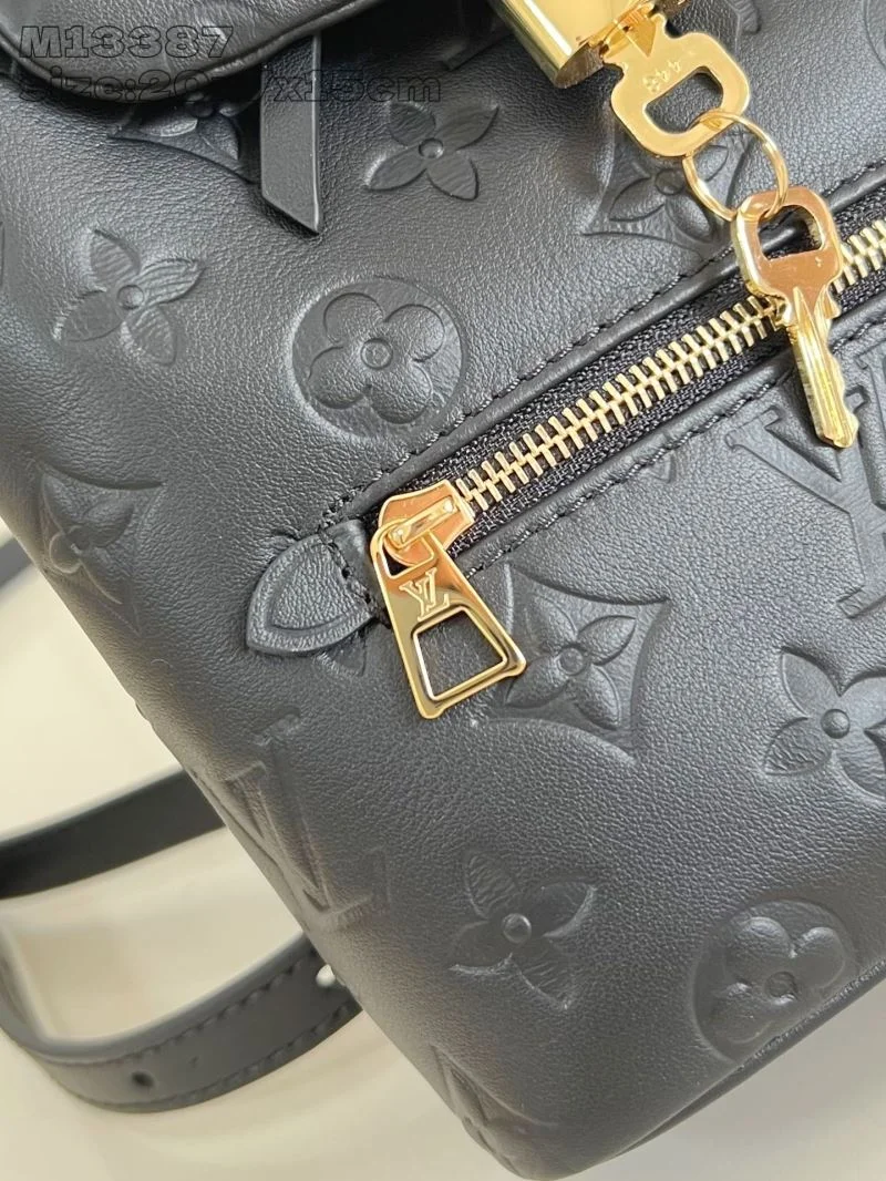 Inexpensive Louis Vuitton Backpacks