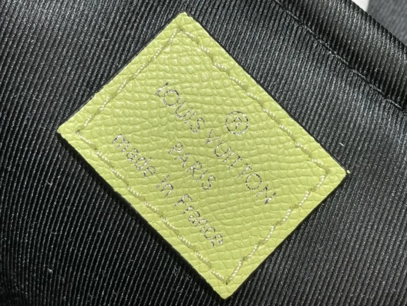Accurate model Louis Vuitton Backpacks