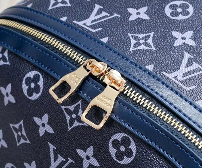 High accuracy Louis Vuitton Backpacks