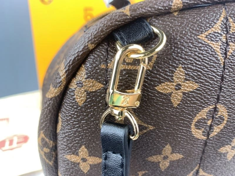 Mirror quality Louis Vuitton Backpacks
