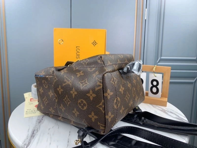 Mirror quality Louis Vuitton Backpacks