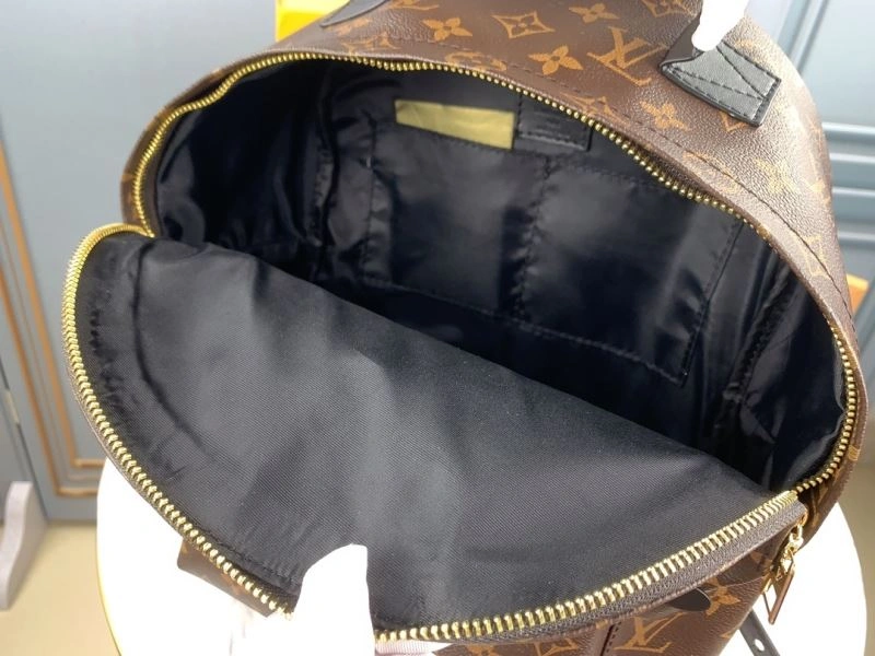Inexpensive Louis Vuitton Backpacks