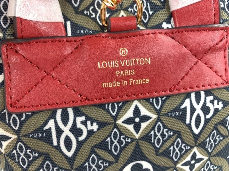 High accuracy Louis Vuitton Backpacks