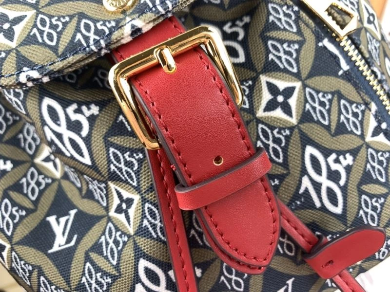 High accuracy Louis Vuitton Backpacks