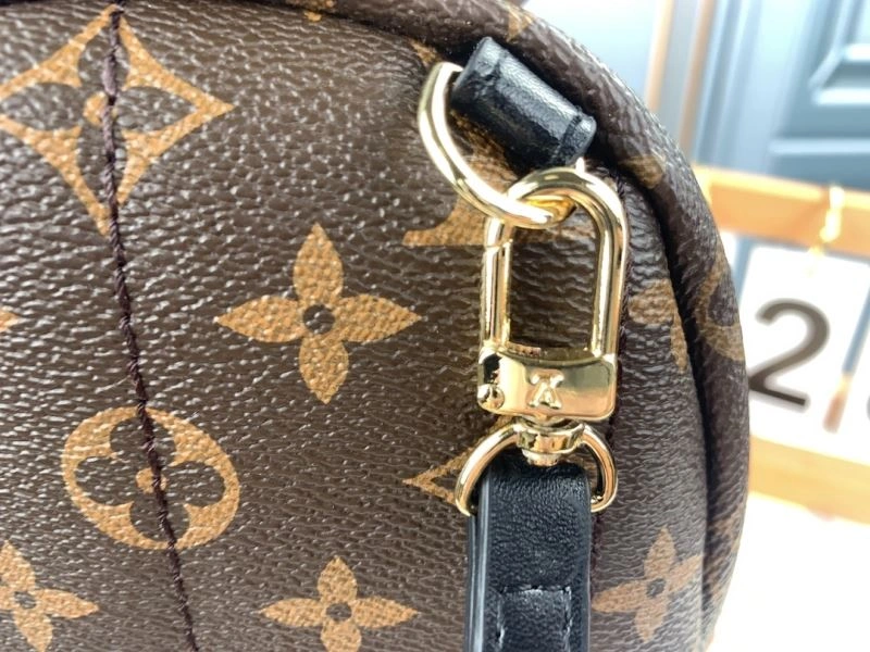Indistinguishable Louis Vuitton Backpacks