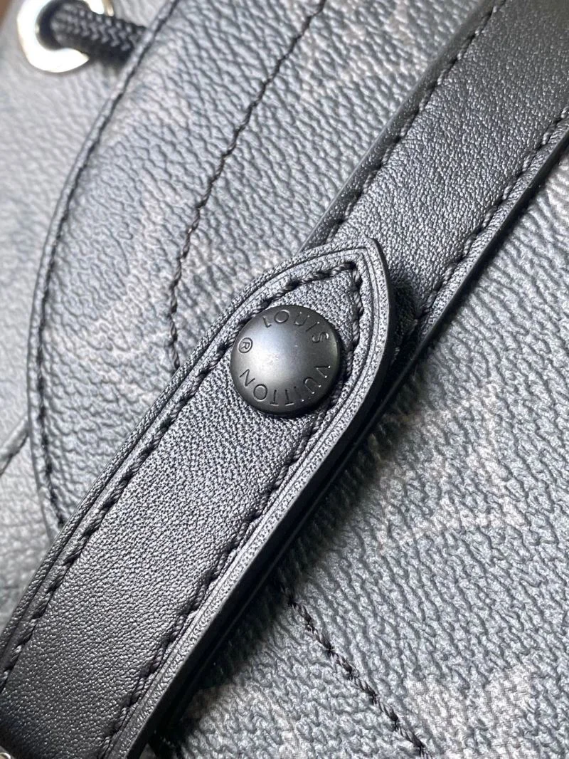 High accuracy Louis Vuitton Backpacks