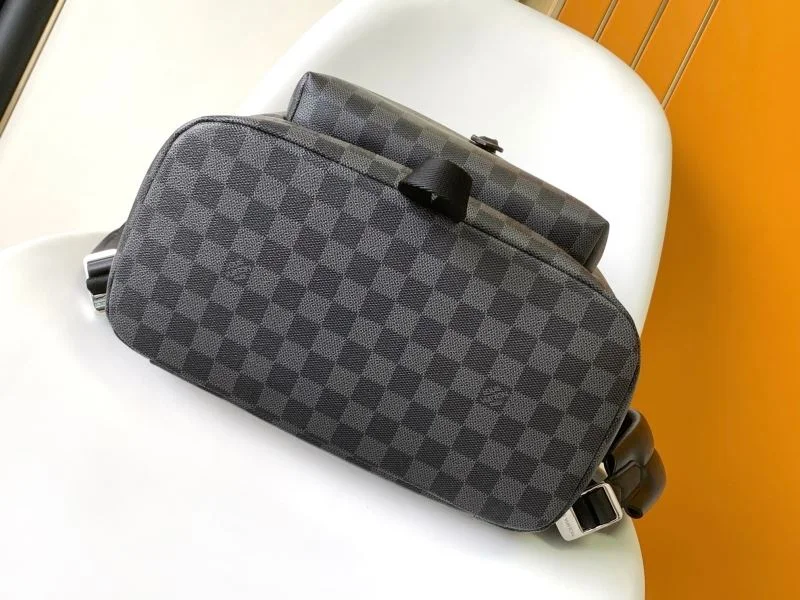 Accurate model Louis Vuitton Backpacks