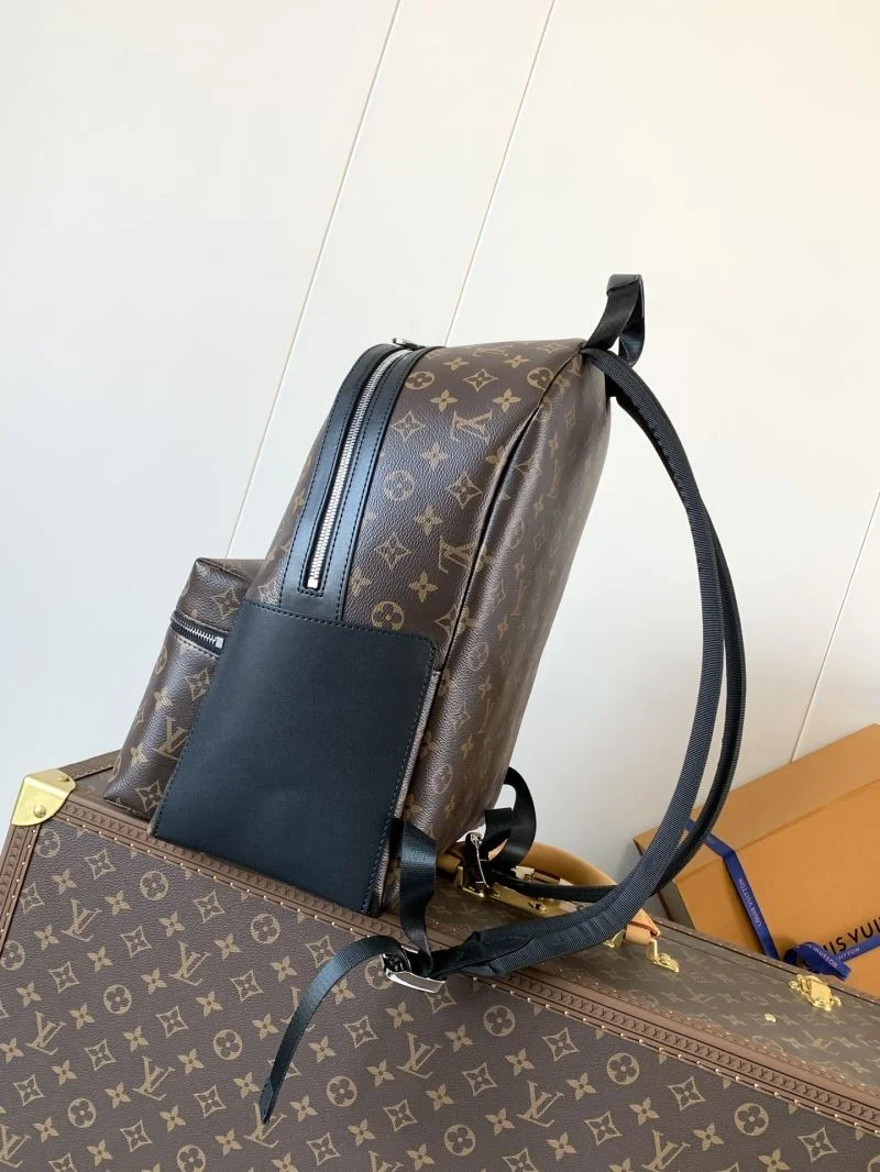 Top mirror Louis Vuitton Backpacks