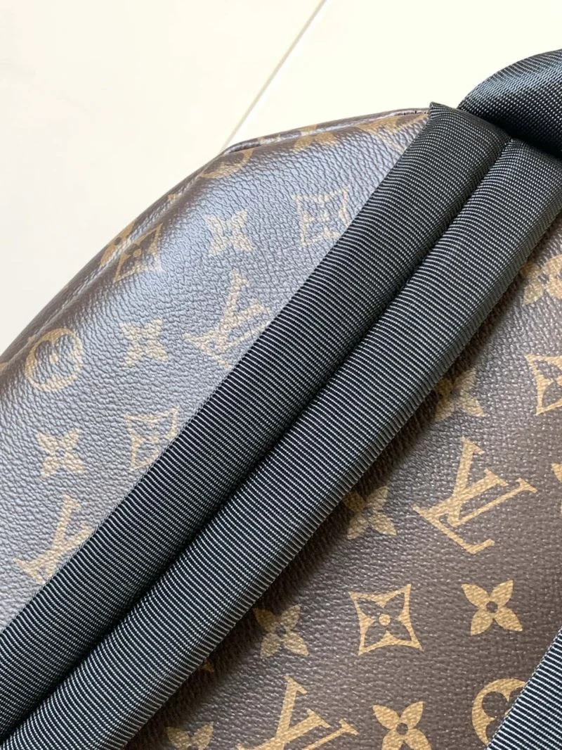 Top mirror Louis Vuitton Backpacks