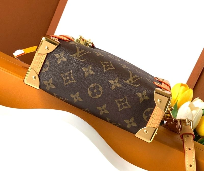 Factory-made Louis Vuitton Box Bags