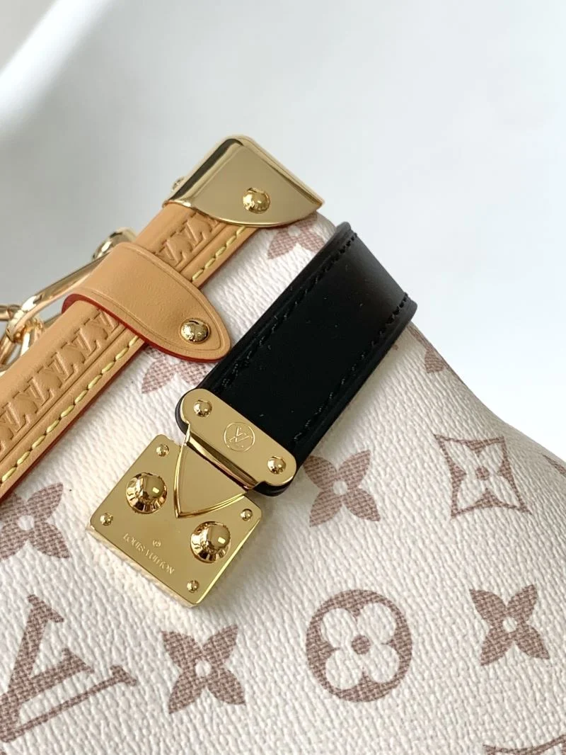 Cut-rate Louis Vuitton Box Bags