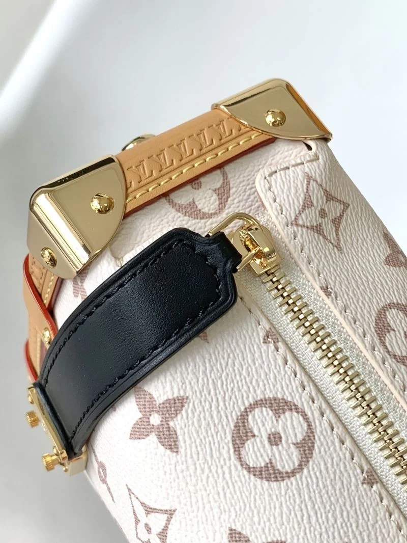 Cut-rate Louis Vuitton Box Bags