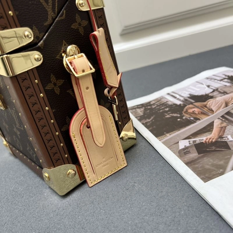 Reasonably priced Louis Vuitton Box Bags