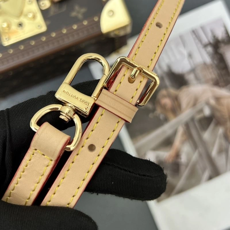 Accurate model Louis Vuitton Box Bags