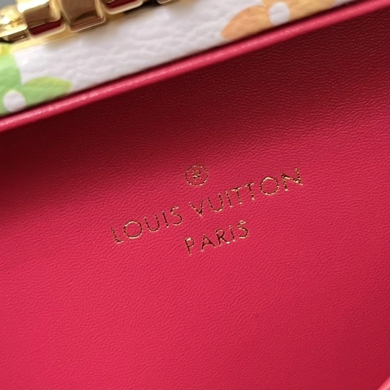 Accurate model Louis Vuitton Box Bags