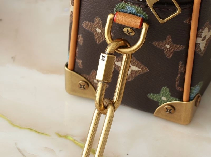 High accuracy Louis Vuitton Box Bags