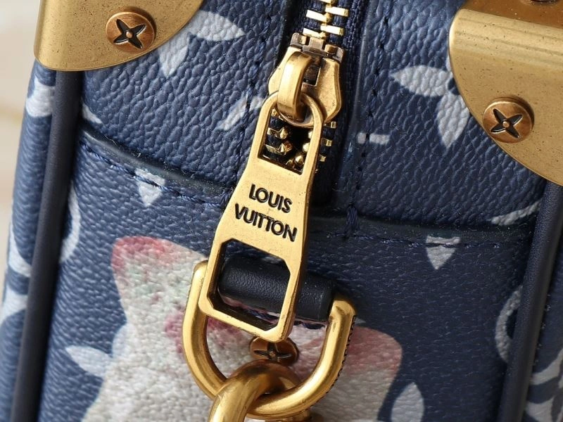Accurate model Louis Vuitton Box Bags