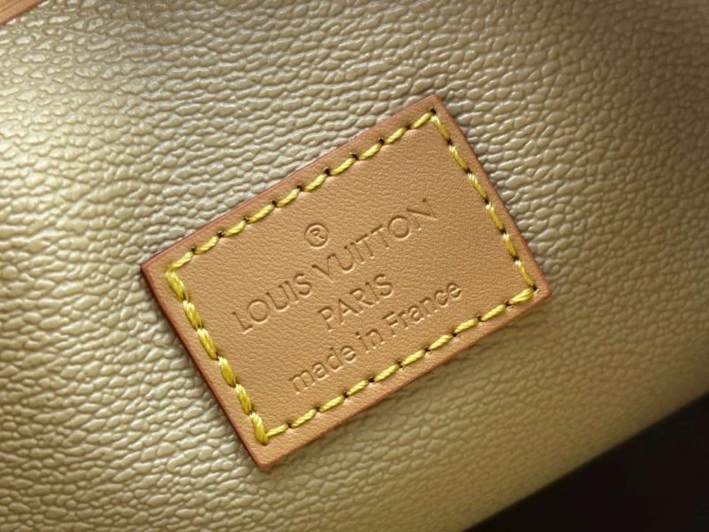 High accuracy Louis Vuitton Bucket Bags