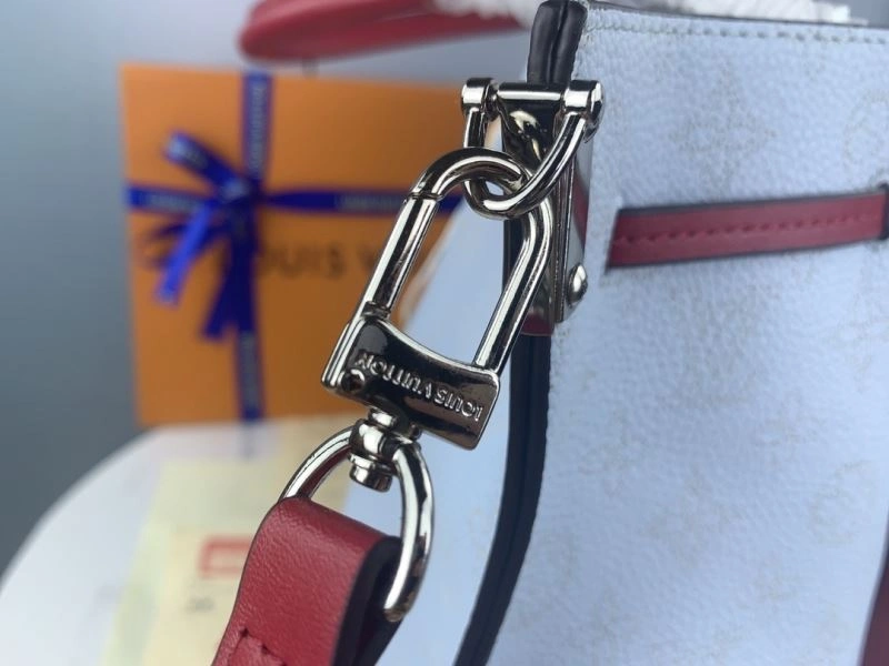 Accurate model Louis Vuitton Bucket Bags