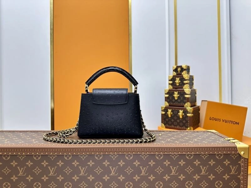 Authentic Louis Vuitton Capucines BB Bags