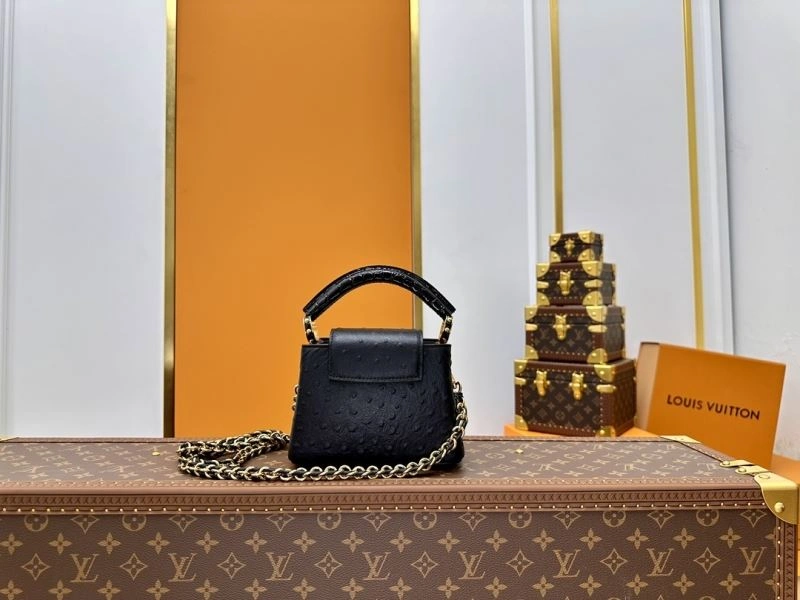 Authentic Louis Vuitton Capucines BB Bags