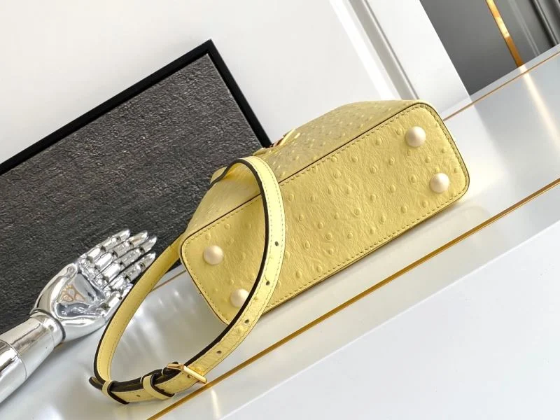 OEM Louis Vuitton Capucines BB Bags