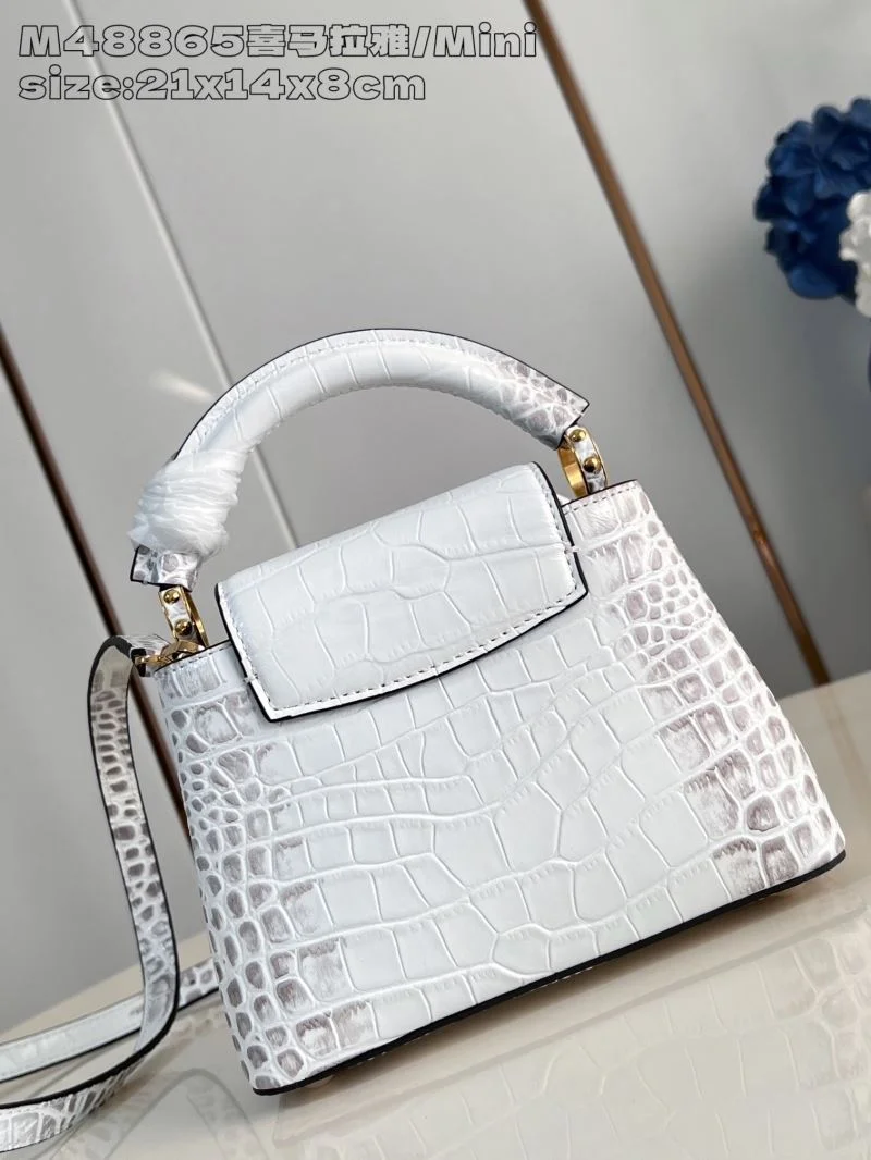 Reasonably priced Louis Vuitton Capucines BB Bags