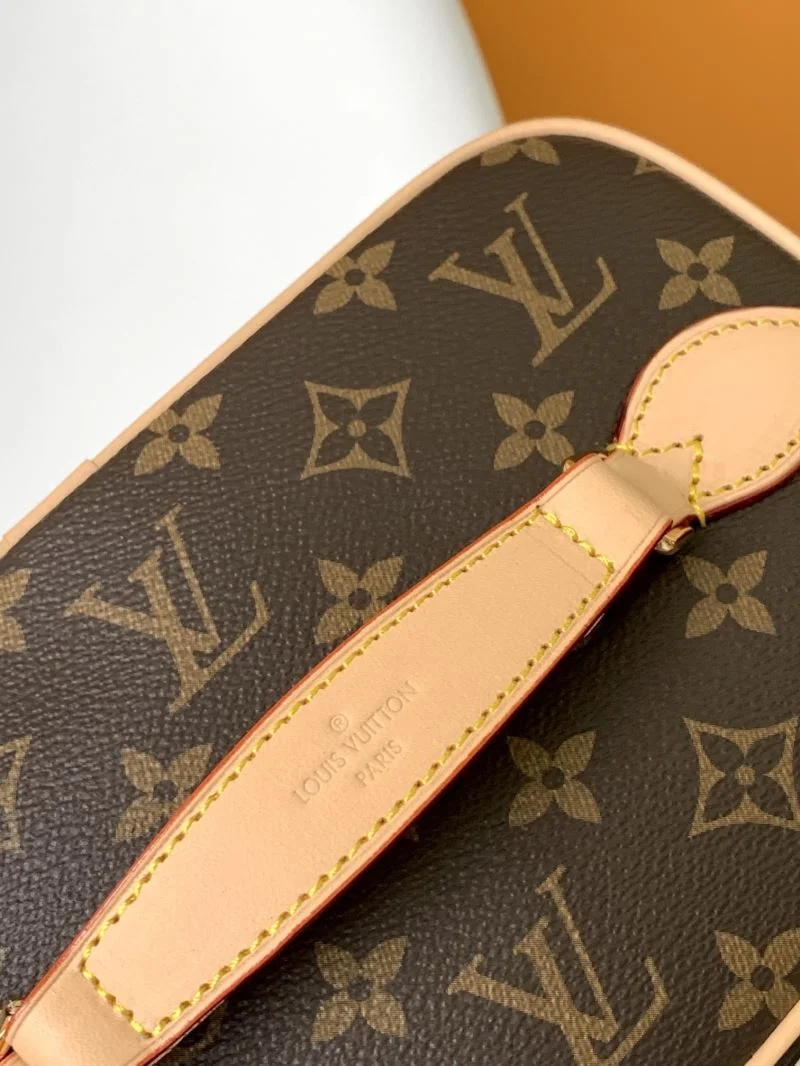 Accurate model Louis Vuitton Cosmetic Bags