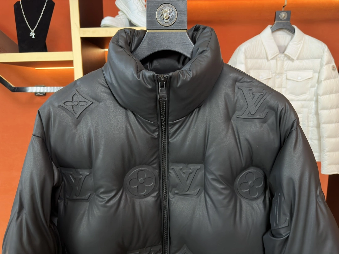 1:1 copy Louis Vuitton Down Jackets