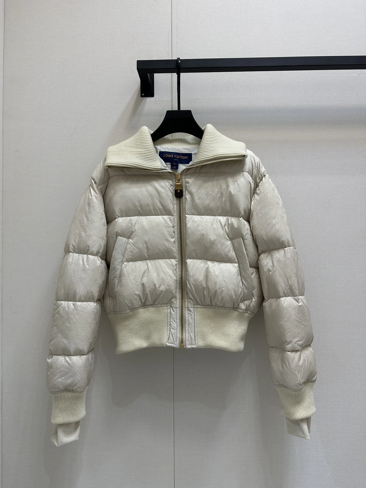 Louis Vuitton Down Jackets