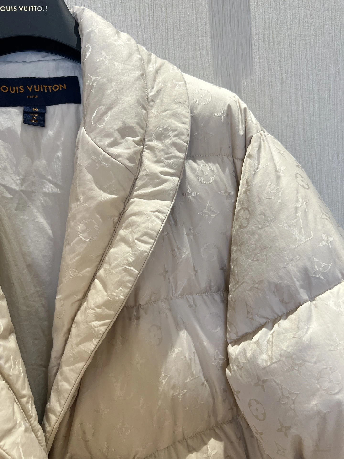 Economical Louis Vuitton Down Jackets