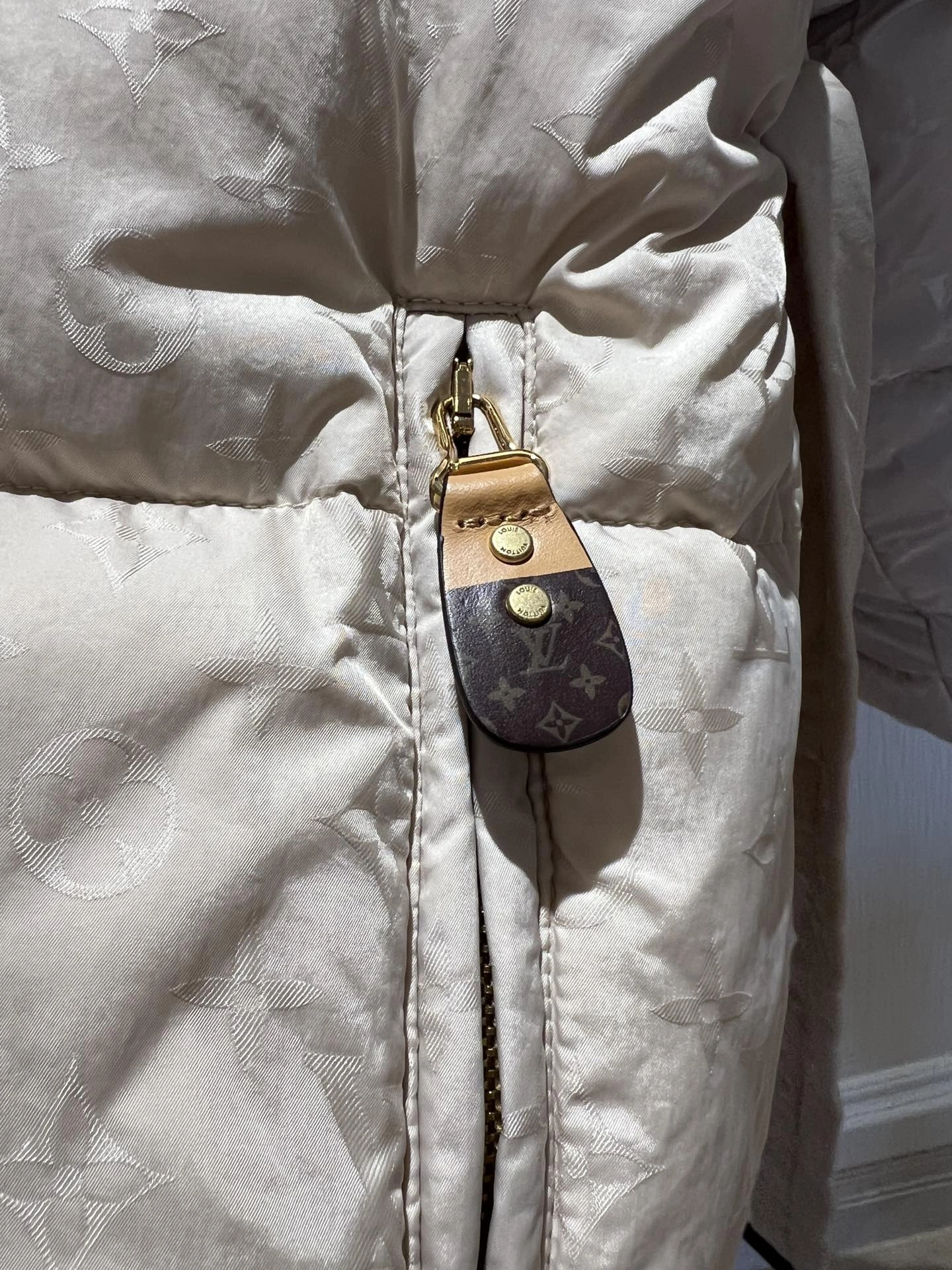 Economical Louis Vuitton Down Jackets